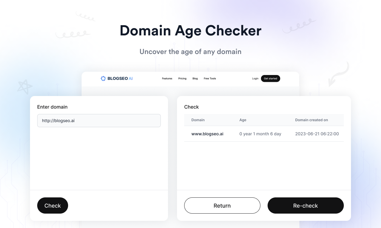 Check Domain Age Instantly - Free Online Tool